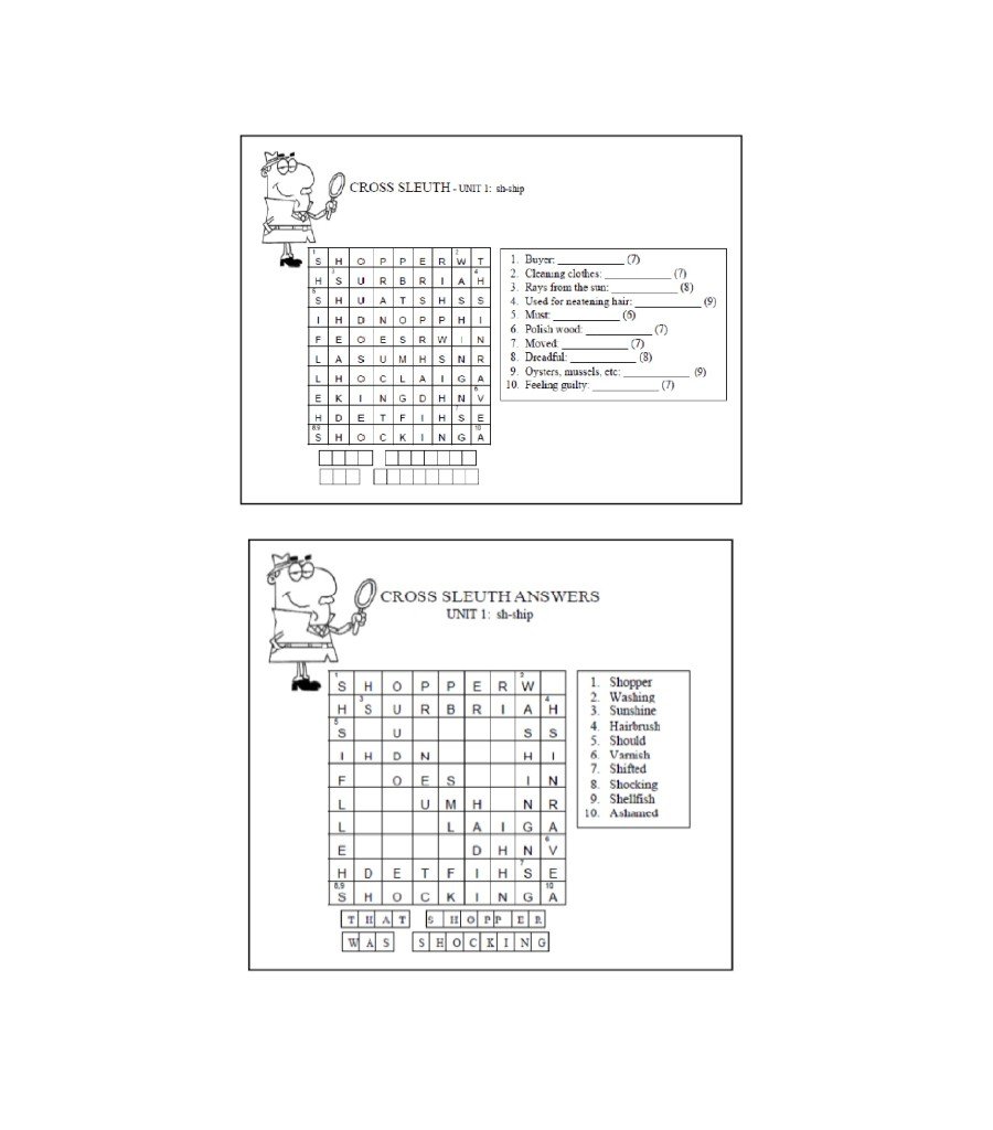 Level 2B Cross Sleuths – Cracking the ABC Code Books NZ