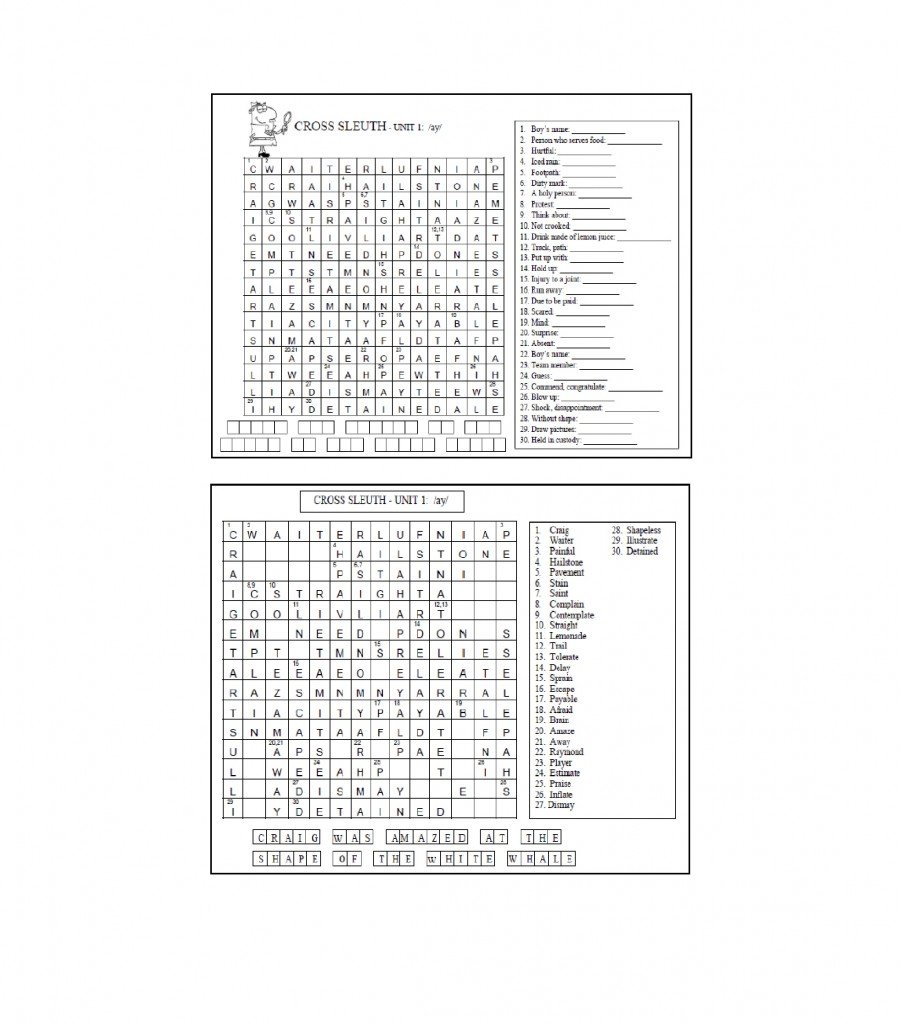 Level 3B Cross Sleuths | Cracking the ABC Code Books NZ